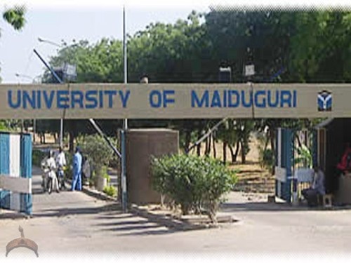 University Of Maiduguri Marks 40th Anniversary - Ọmọ Oòduà