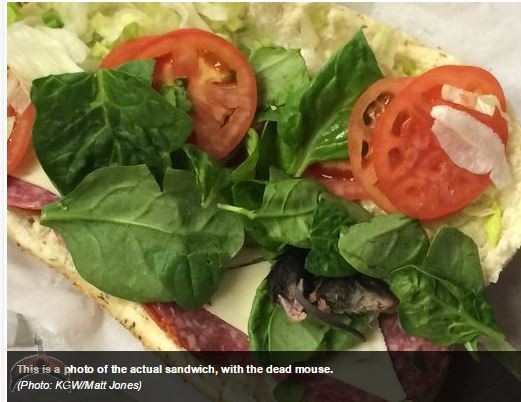 Roasted Rat Spotted in Subway sandwich in Lincoln City, U.S (Photos ...