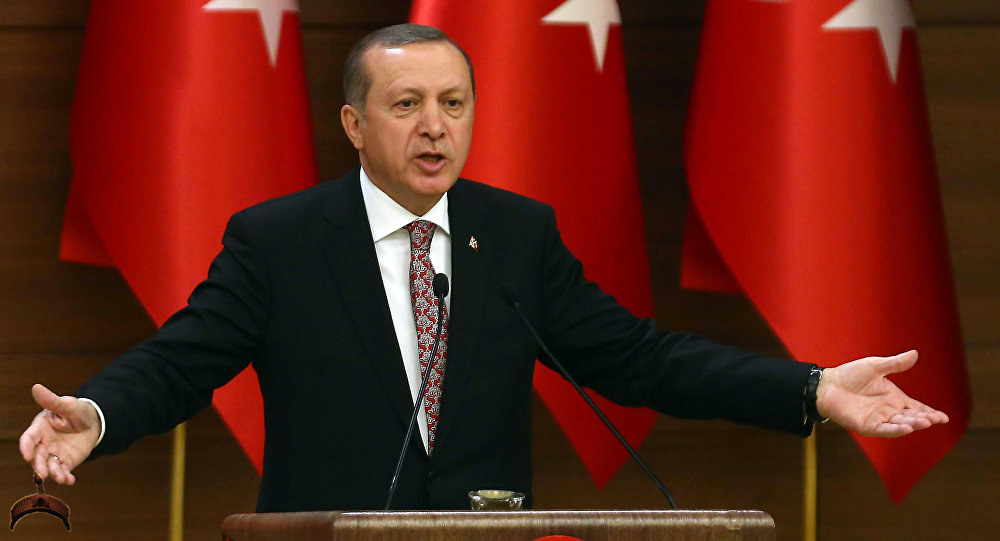 Turkey's President Erdogan Lands in Istanbul, Will Address Nation Amid ...