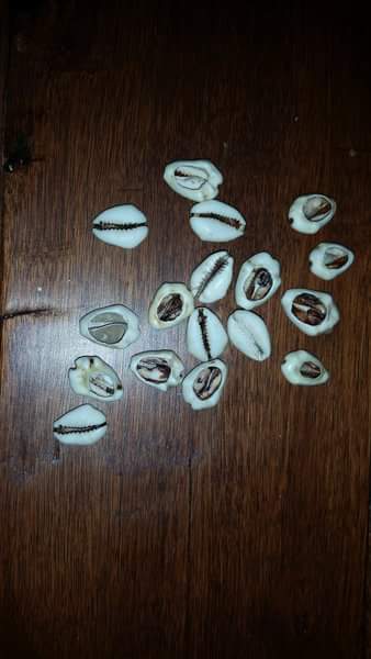 See What Odu Erindilogun(Obara) Teaches us - Ọmọ Oòduà